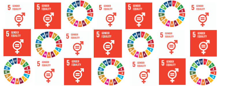 SDGs in Action: Gender Equality » Impact Hub Minneapolis